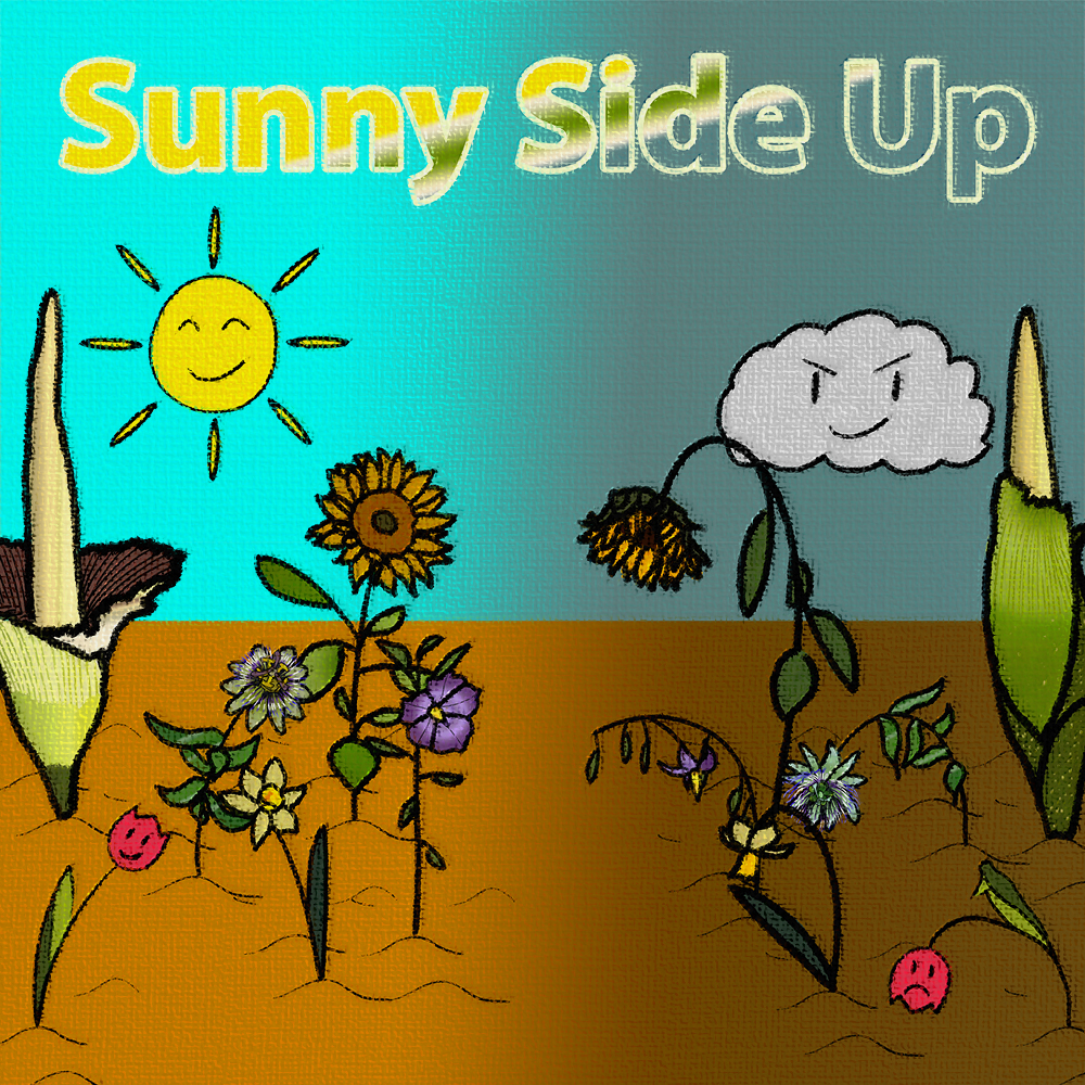 Sunny Side Up – Arc.fish